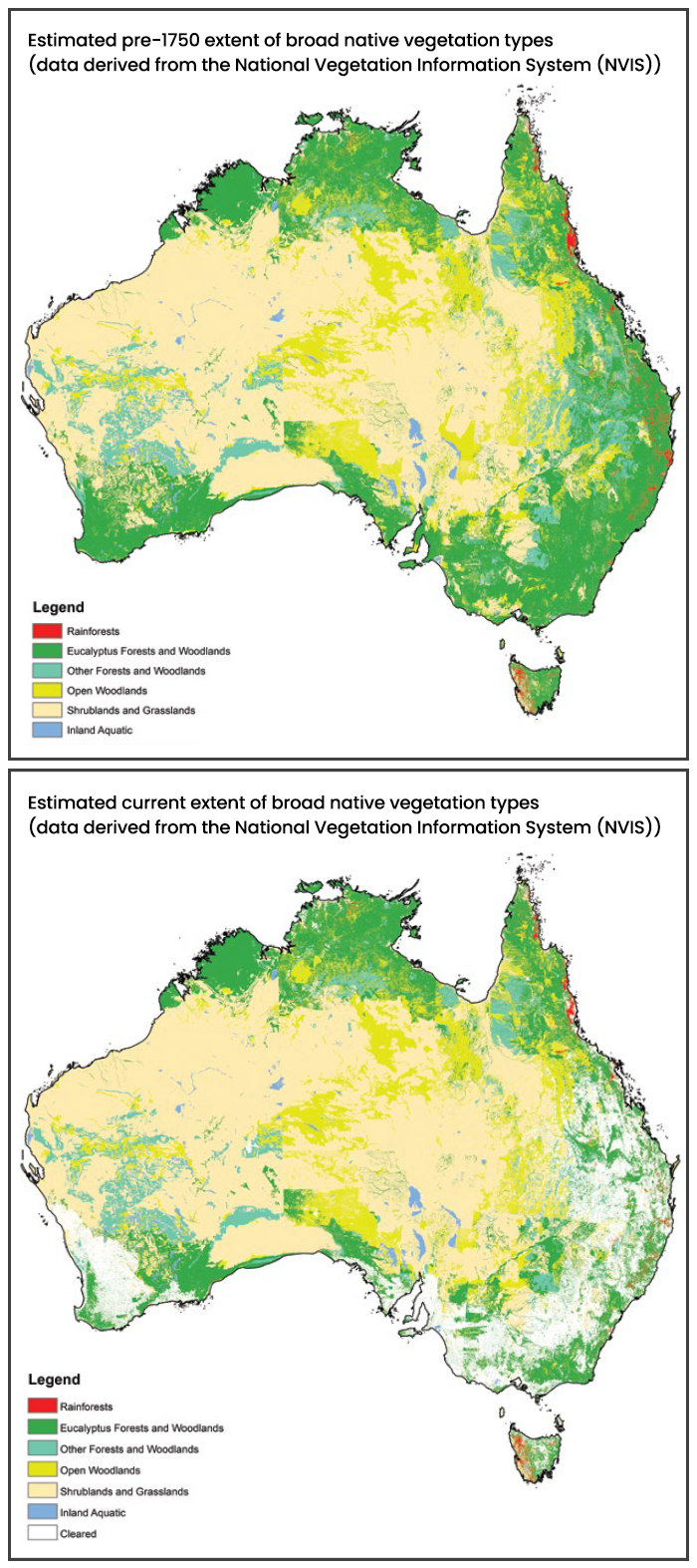 Plant selection: Learn from history to improve the future