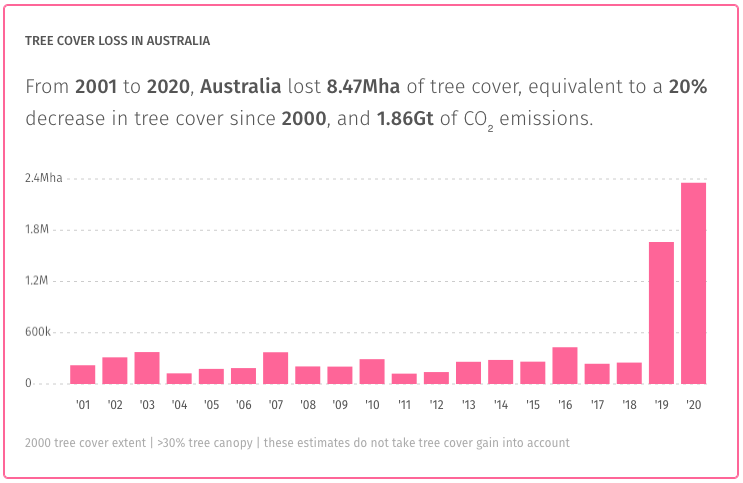 Helping your tree planting and revegetation projects succeed.